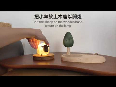 Sheep Night Light hand crafted sheep lamb bedside lamp– GLUE Associates